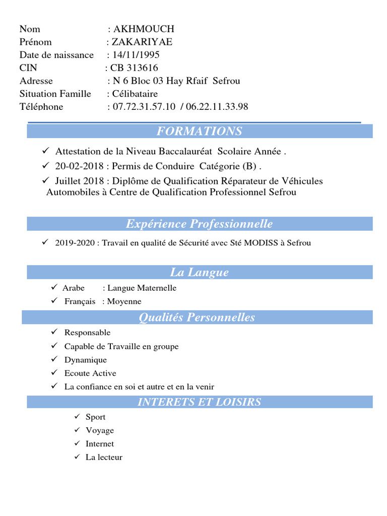 CV de Zakariyae Akhmouch - Profil Professionnel | PDF | Évolution de ...