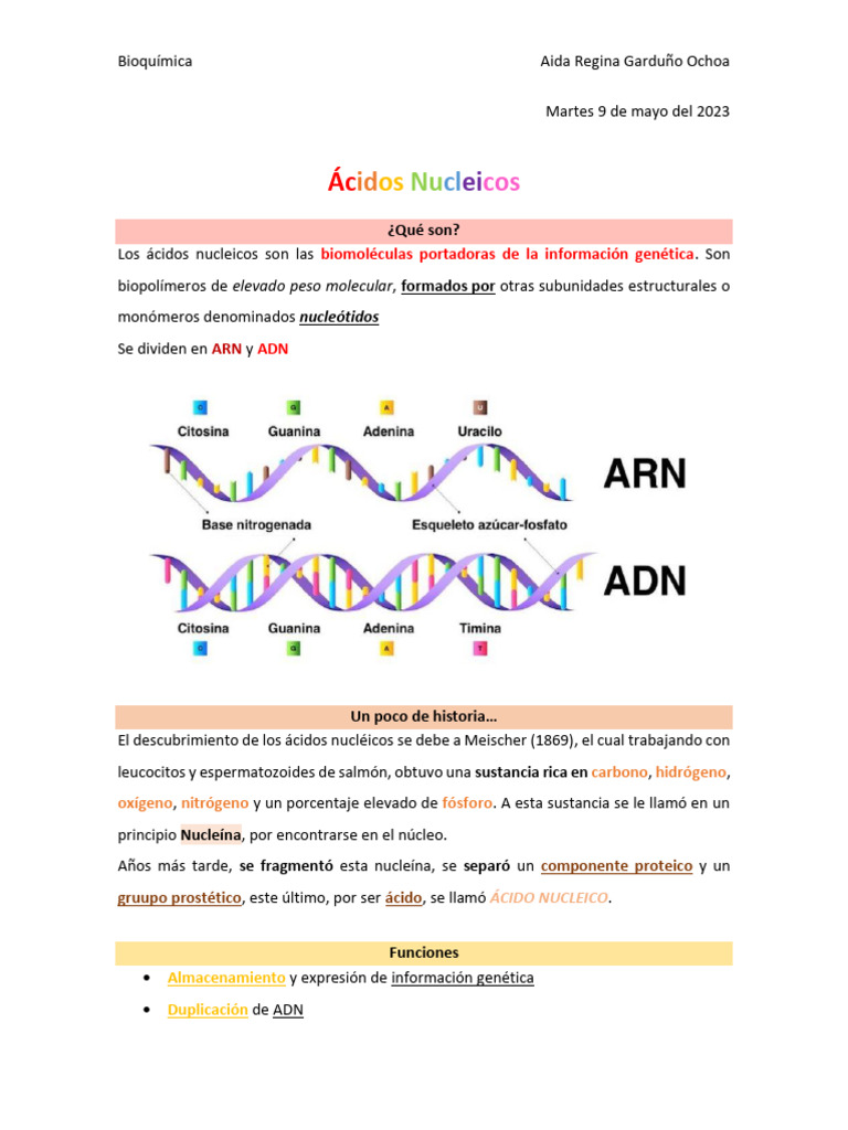 Ácidos Nucleicos | PDF | Rna | Adn