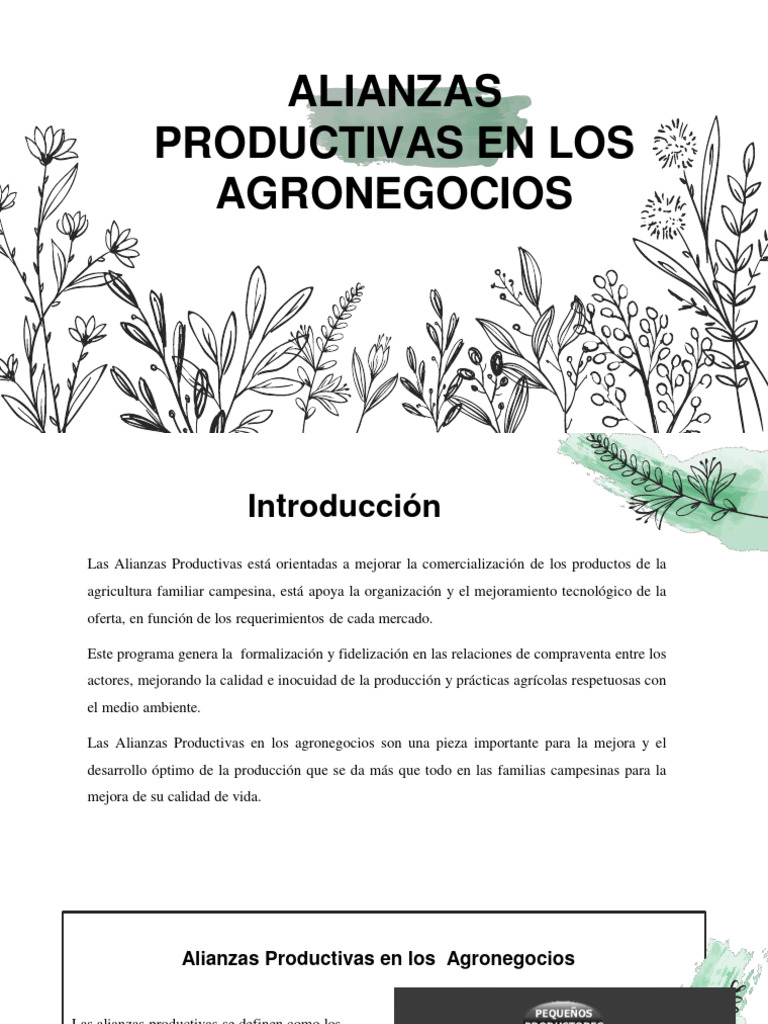 Alianzas Productivas en Los Agronegocios | PDF | Agronegocios | Agricultura