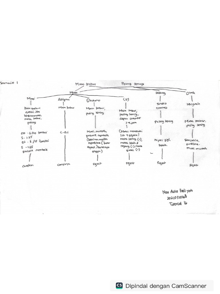 Nisa Aulia Fadiyah - 20210310168 | PDF