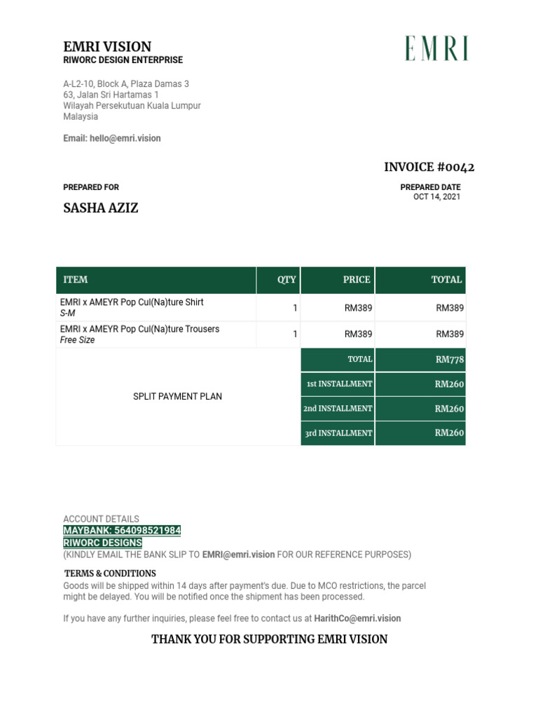 EMRI Vision Invoice #0042 Details | PDF