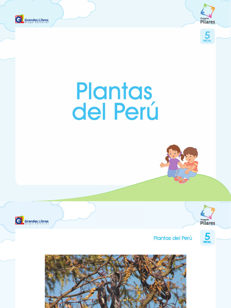 Flash Cards - Plantas | PDF