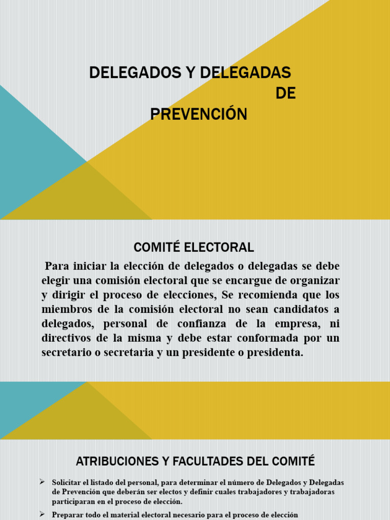 Delegados y Delegadas de Prevencion | PDF | Gobernancia | Gobierno