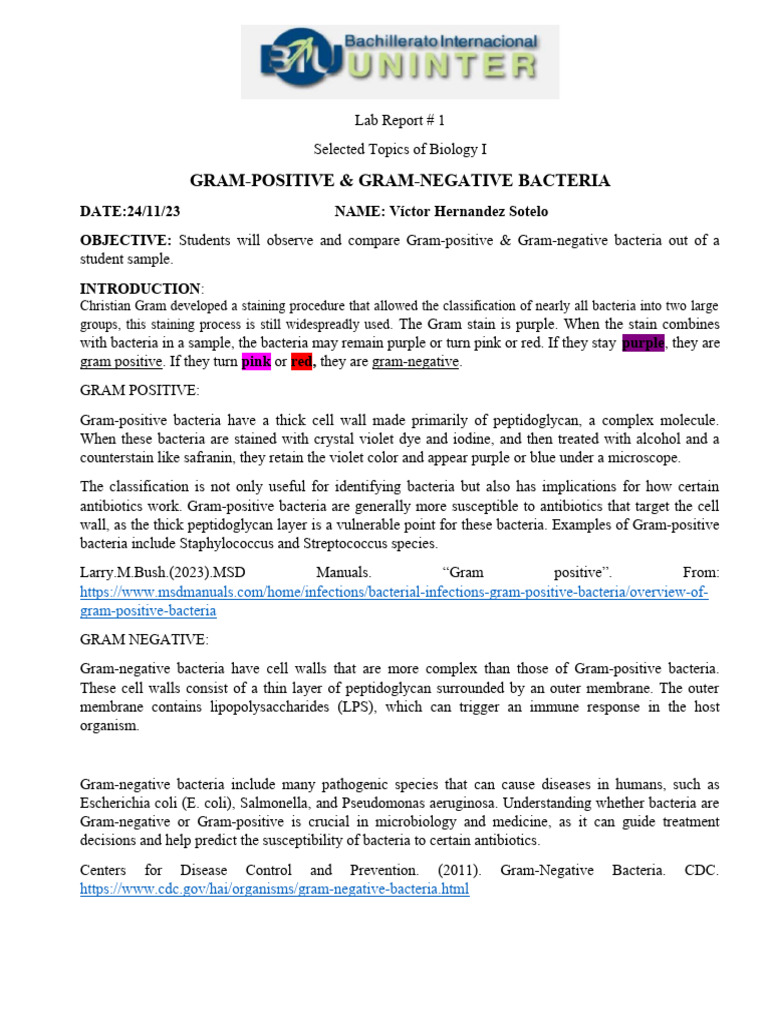 Gram Positive and Gram Negative Lab Practice - Victor H. | PDF | Gram ...