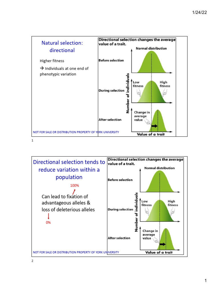 4b BIOL 1001 W2023 How Does Natural Selection Affect Variation | PDF ...