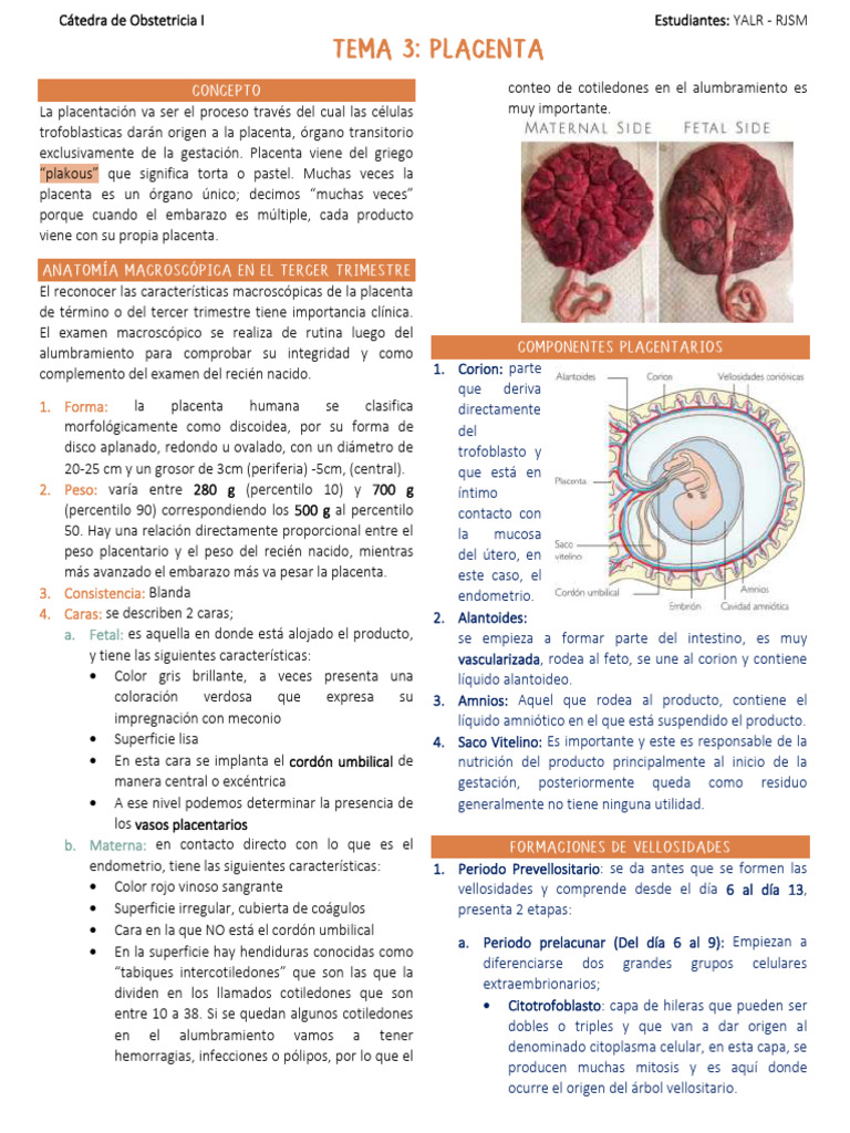 Tema N°3-Placenta | PDF | Placenta | Feto