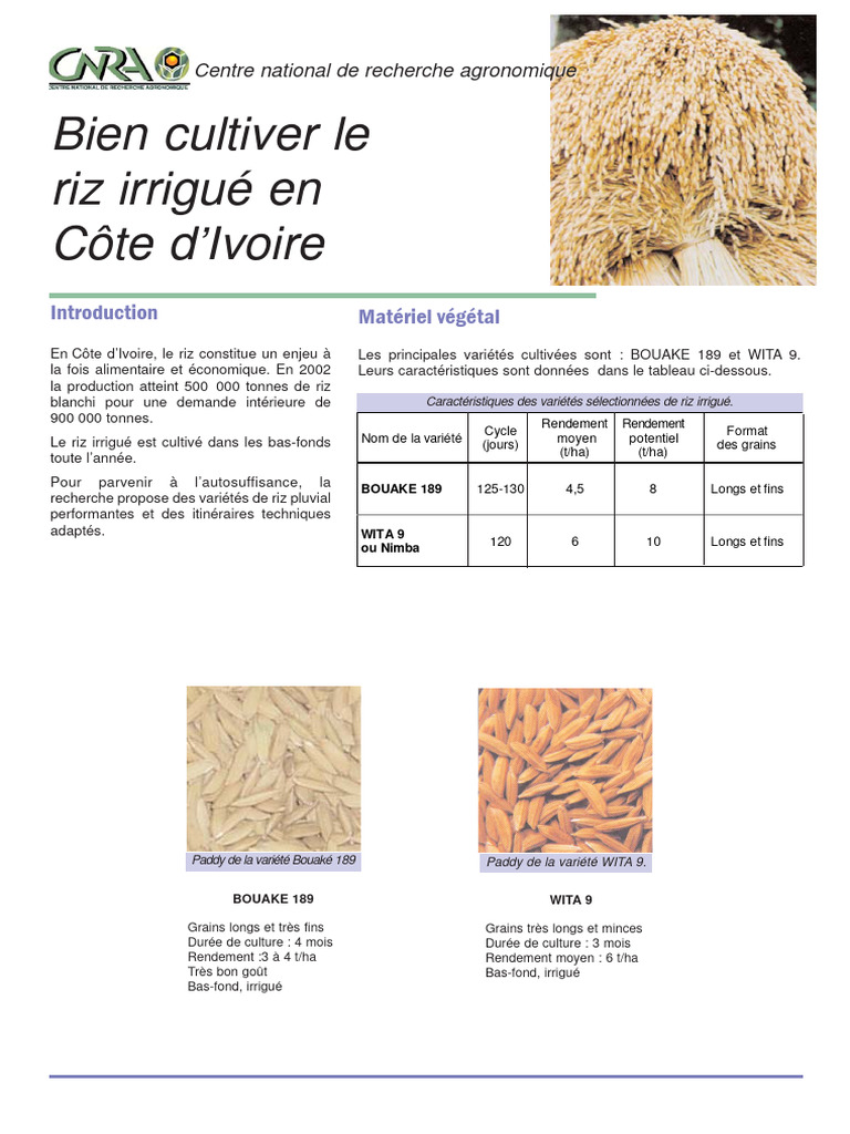 2005 Cultiver Riz02 Irrigue | PDF | Riz | Irrigation