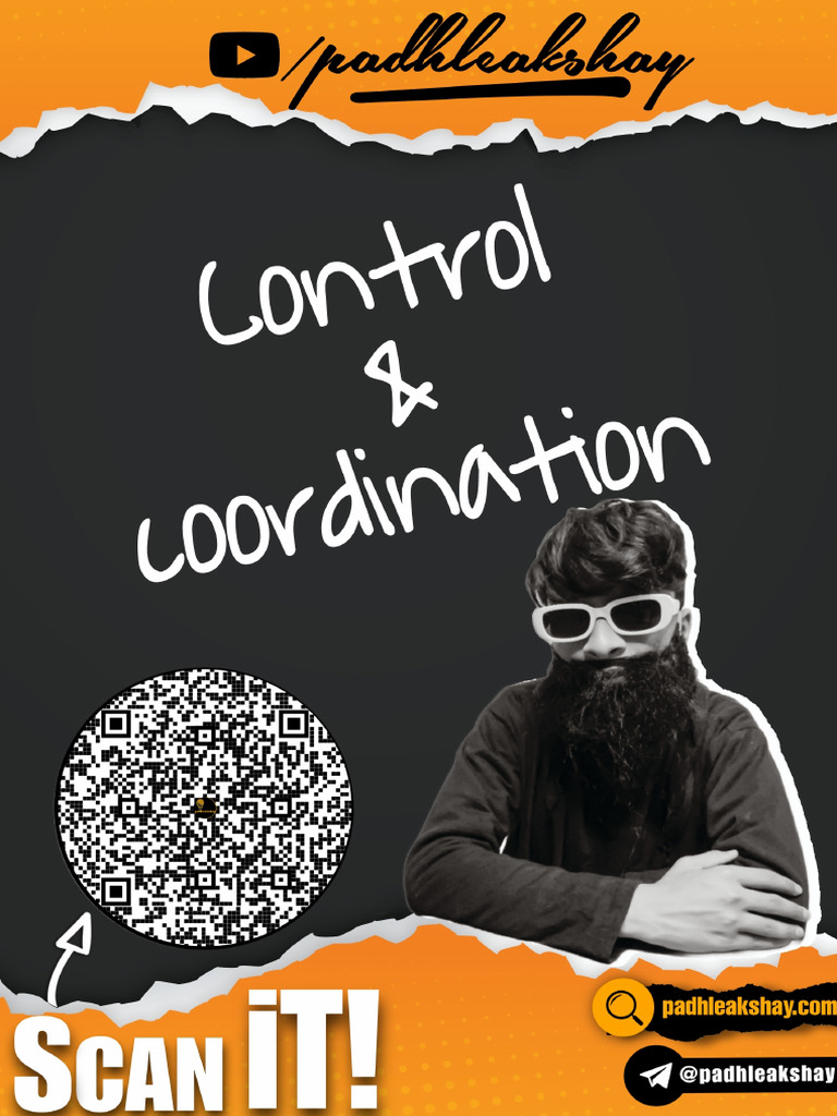 Chapter 6 Control Coordination | PDF