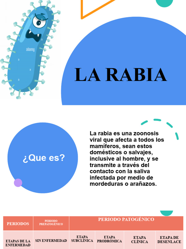 La Rabia | PDF | Rabia | Inmunología