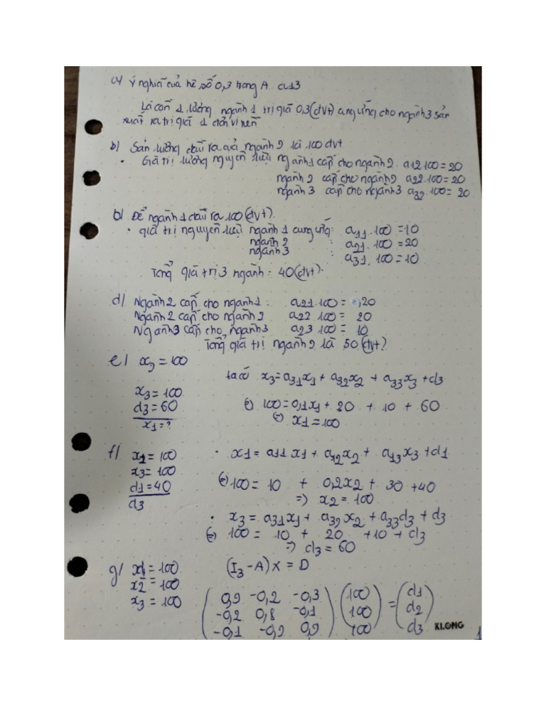 PH M Xuân NH t-IV002-Mô Hình Input-Output | PDF