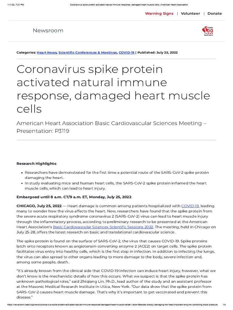 Coronavirus spike protein activated natural immune response, damaged ...