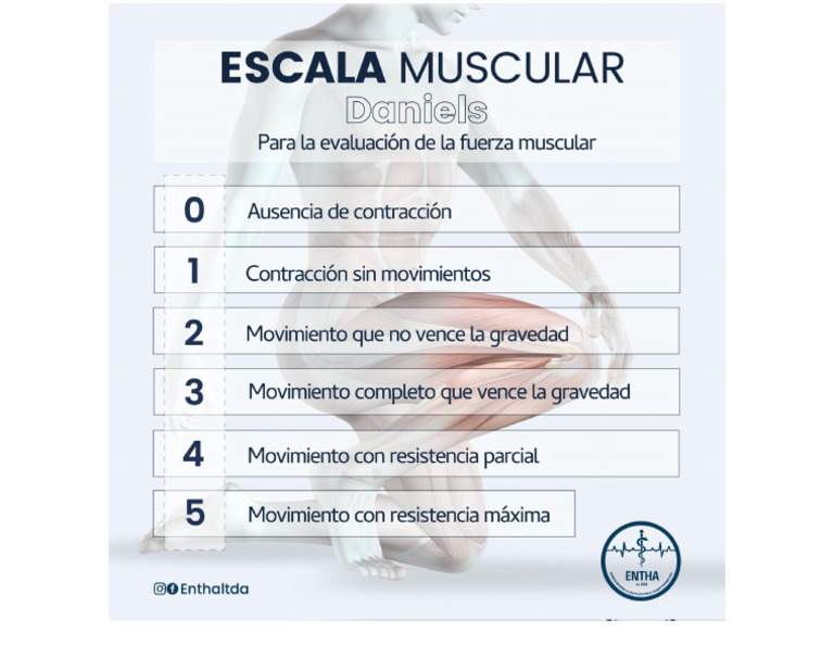 escala de daniels | PDF