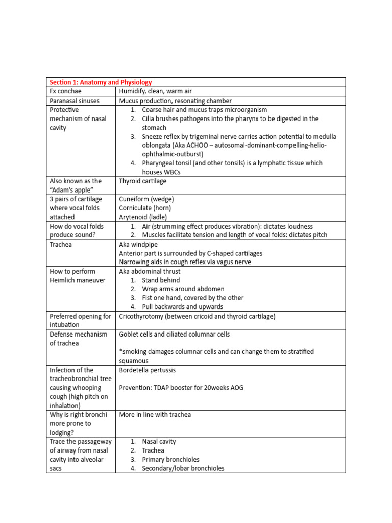 Respiratory System | PDF | Lung | Respiratory Tract