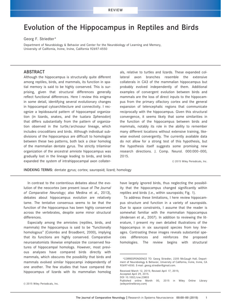 Striedter - 2015 - Evolution of The Hippocampus in Reptiles and Birds | PDF | Hippocampus ...