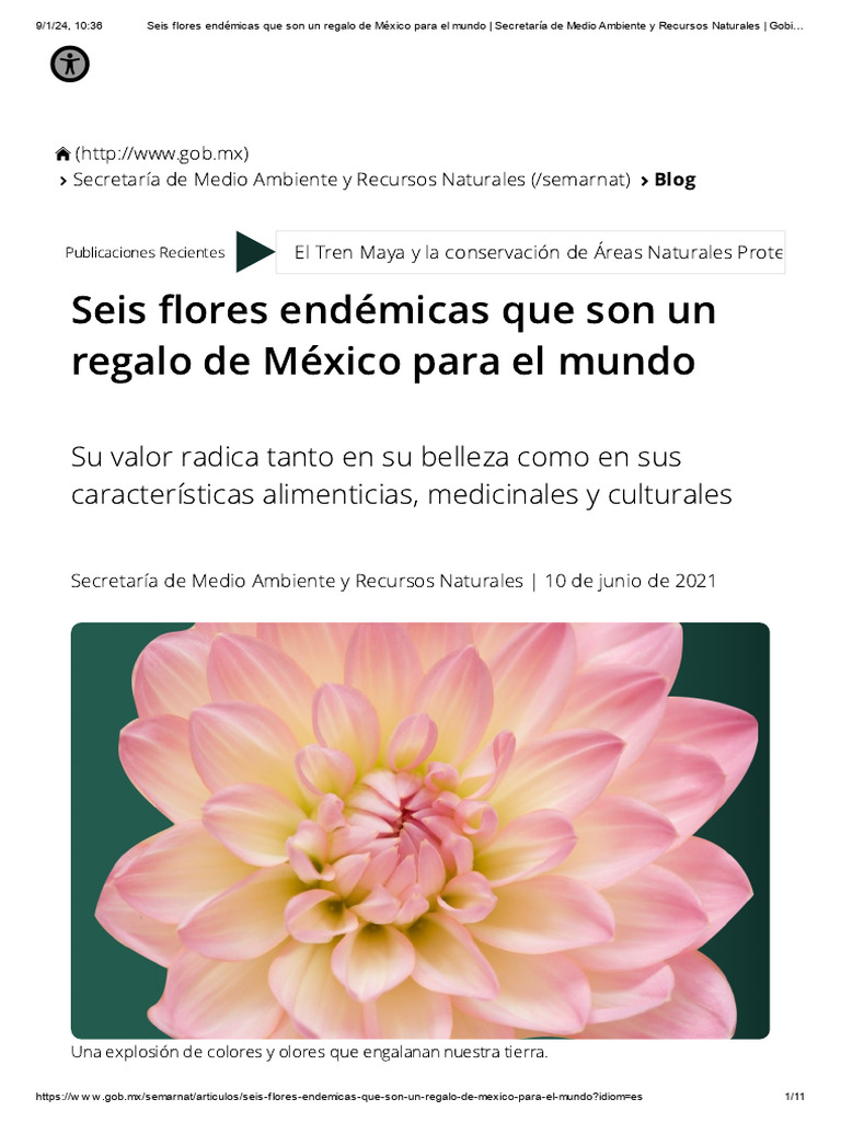 Seis Flores Endémicas Que Son Un Regalo de México para El Mundo ...