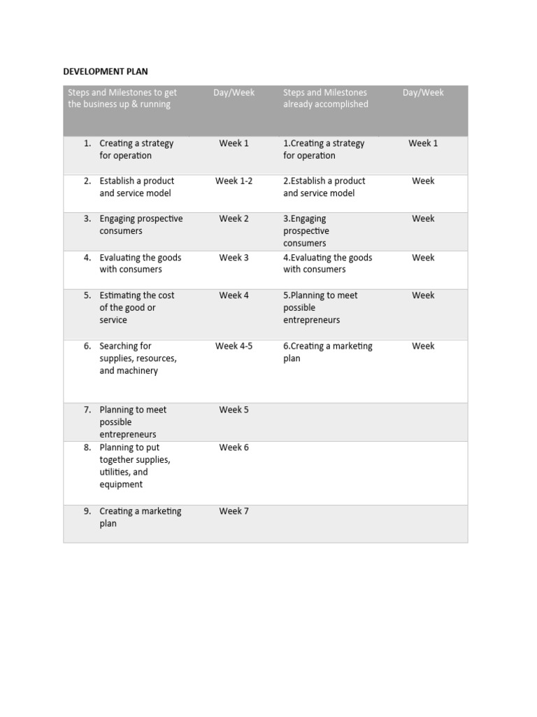 Development Plan | PDF | Marketing | Entrepreneurship