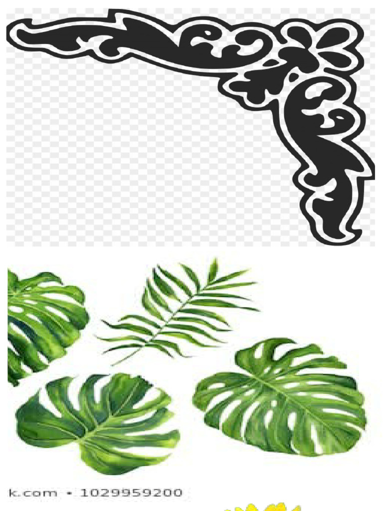 Boarder Design | PDF