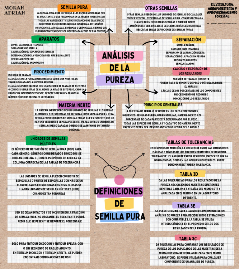 Mapa Conceptual Tarea 1.... | PDF | Importar | Semilla