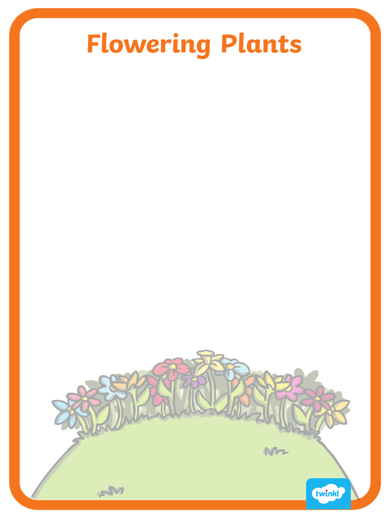 Non-Flowering and Flowering Plants Guide | PDF
