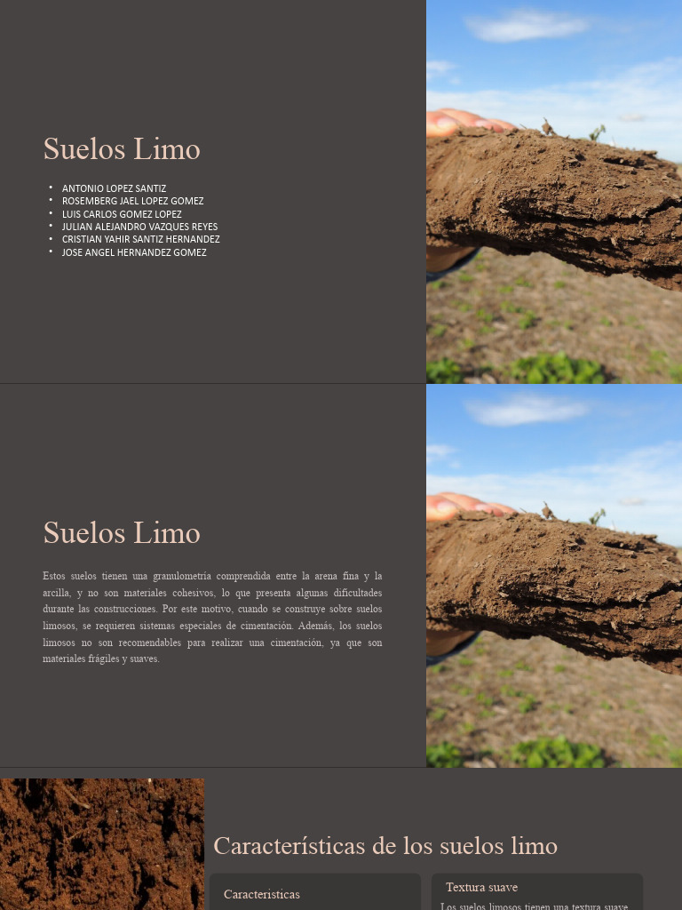 Suelos-Limo | PDF | Suelo | Agricultura