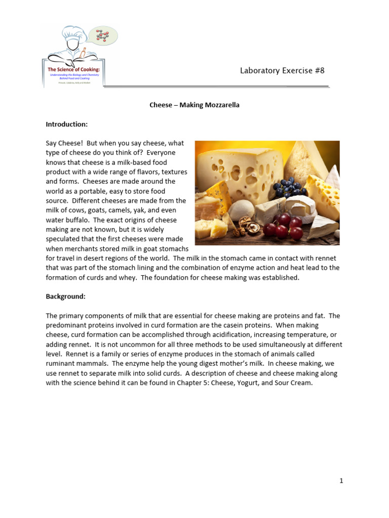 Sample Science of Cooking Laboratory Exercise | PDF | Cheese | Hypothesis