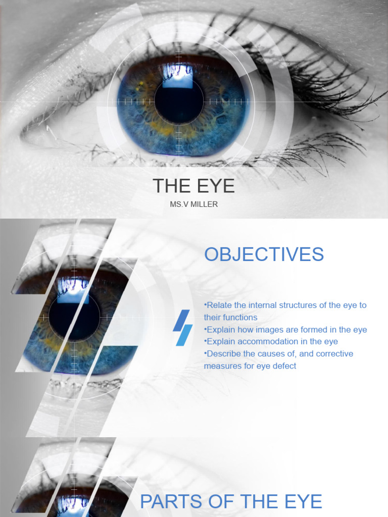 The Eye | PDF | Eye | Cataract