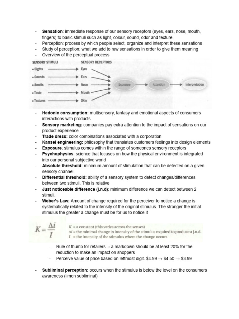 Chapter 2 - Perception | PDF | Perception | Senses