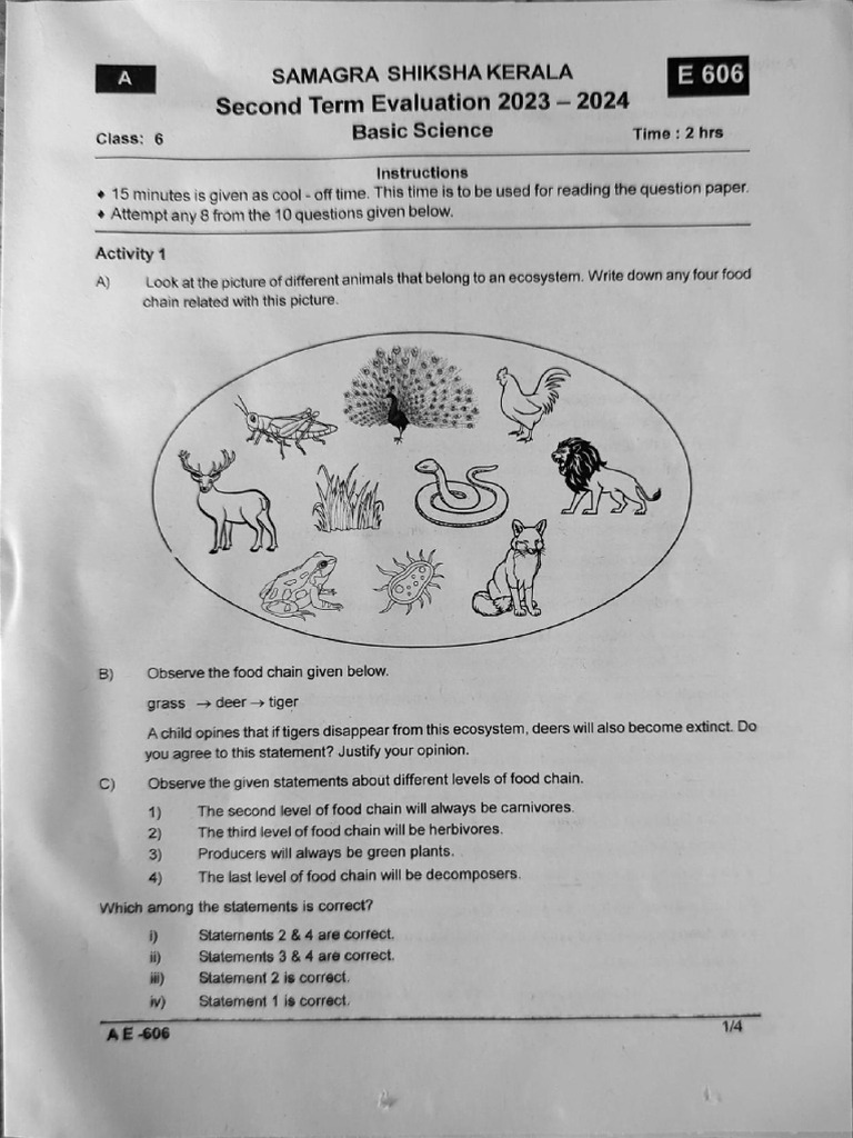 Class 6 Basic Science Mid Term Paper | PDF | Fruit | Ecosystem