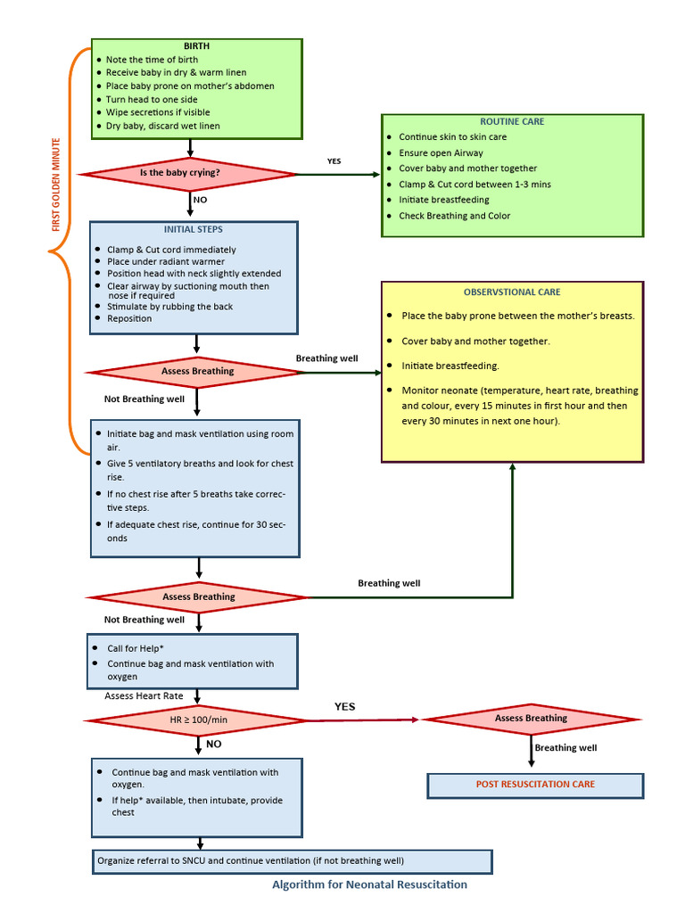 Basic NRP English Algorithm Final 17-01-21 PDF | PDF