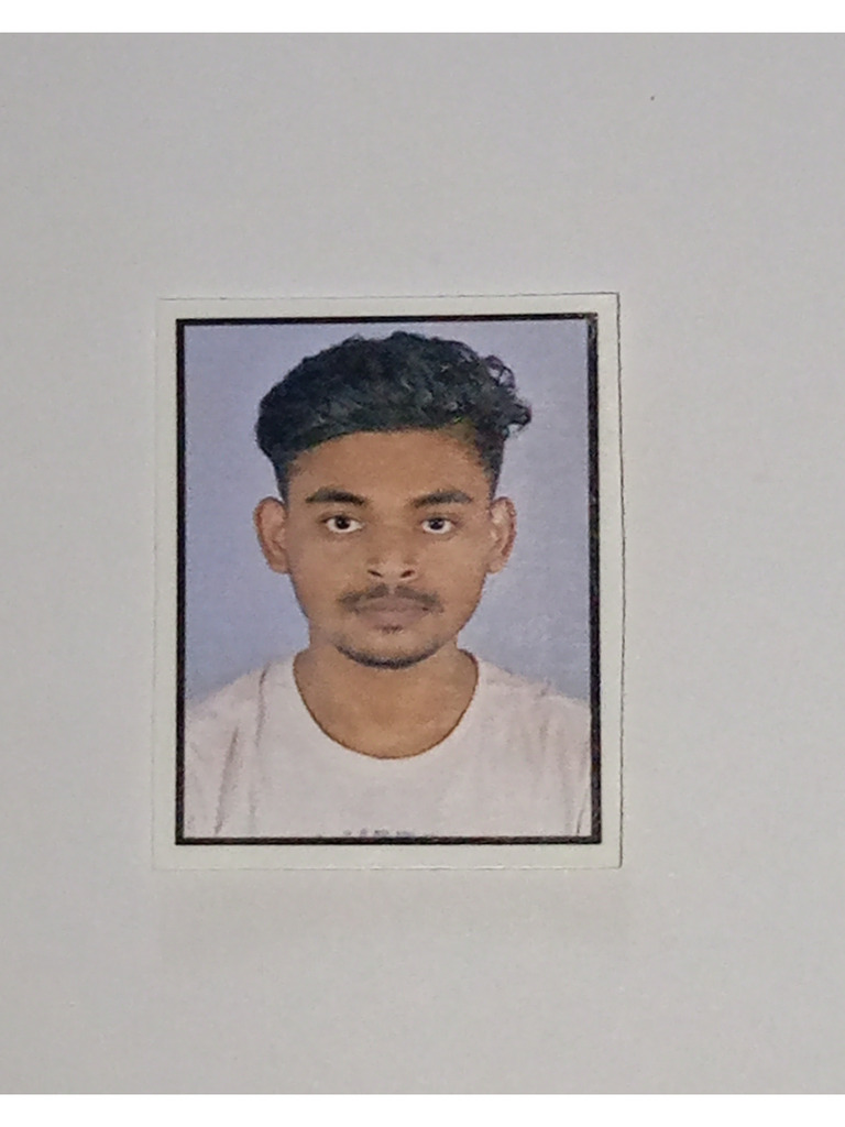 Passport Size Photo | PDF