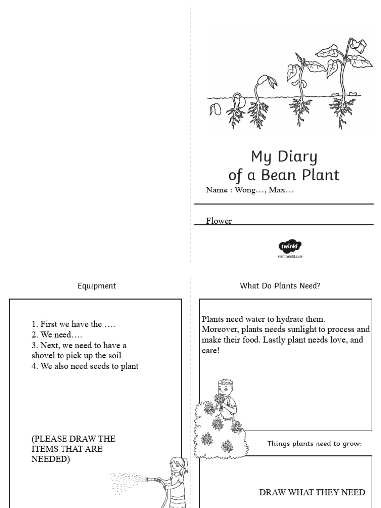 My Bean Plant Growth Diary | PDF | Home & Garden | Science & Mathematics