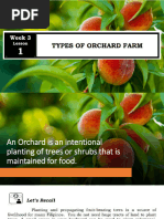 Agri Lesson 5 - Types of Orchard Farm | PDF | Trees | Fruit