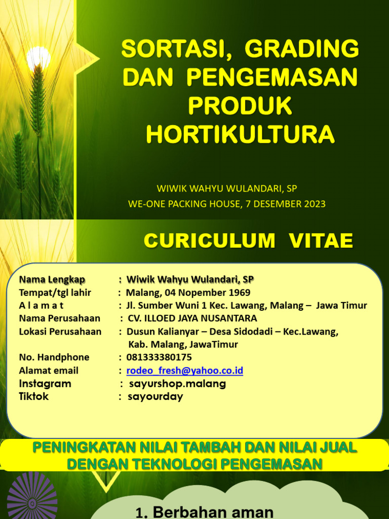 Hortikultura: Sortasi & Pengemasan | PDF