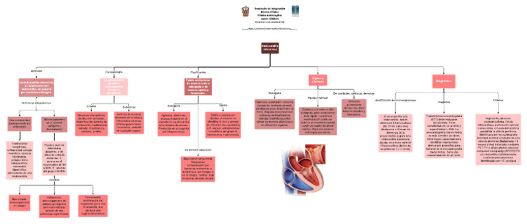 Endocarditis Infecciosa: Guía Clínica | PDF | Enfermedades y trastornos ...