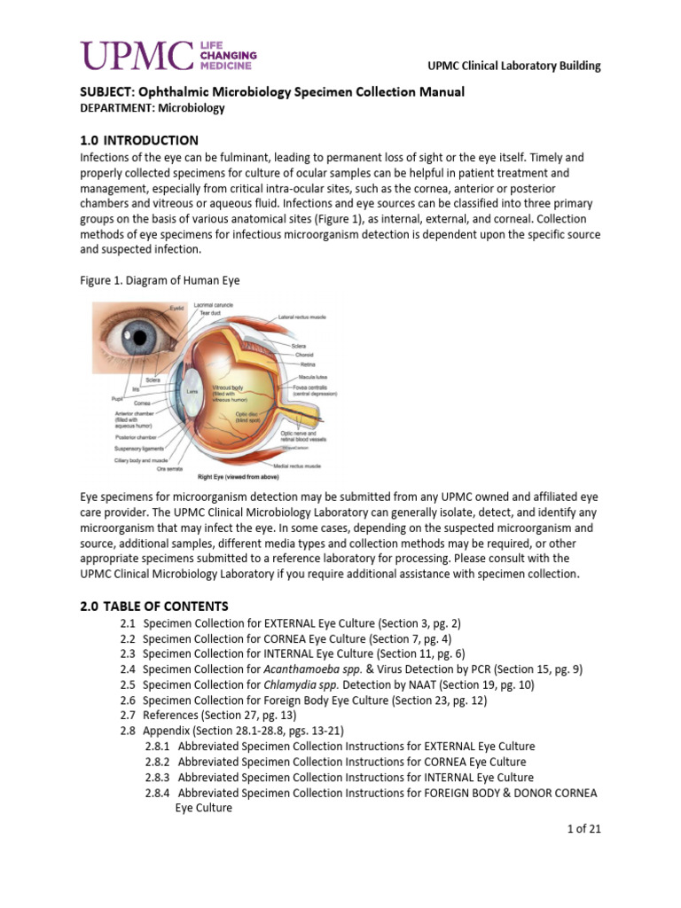 Ophthalmic Microbiology Specimen Collection Manual (Final) | PDF ...