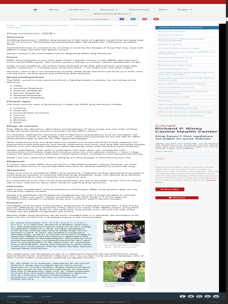 Understanding MDR1 Drug Sensitivity in Dogs | PDF | Dogs | Dose ...