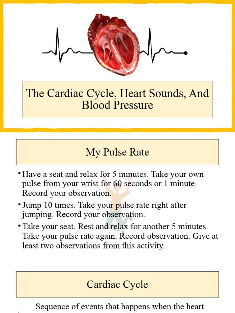 Cardiac Cycle Heart Beat Blood Pressure | PDF | Heart Valve | Heart