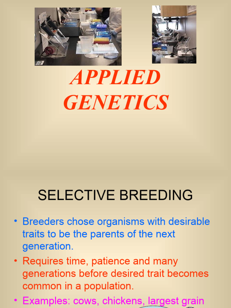 Applied Genetics | PDF | Genetic Engineering | Plasmid