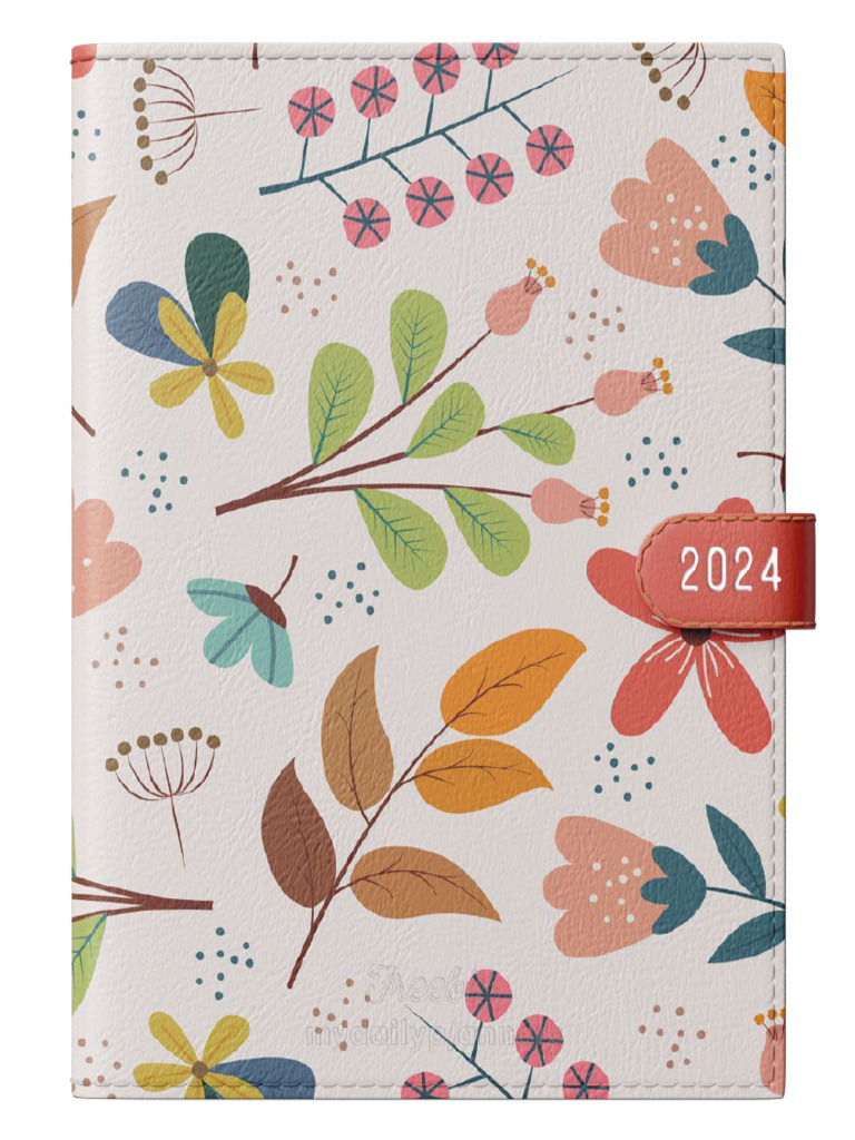 Monday Boho Wiz D 2024 P | PDF | Ios | Software