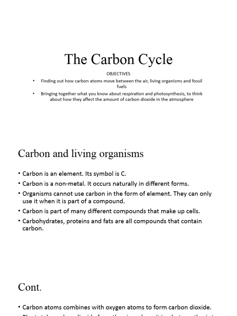 Understanding the Carbon Cycle | PDF