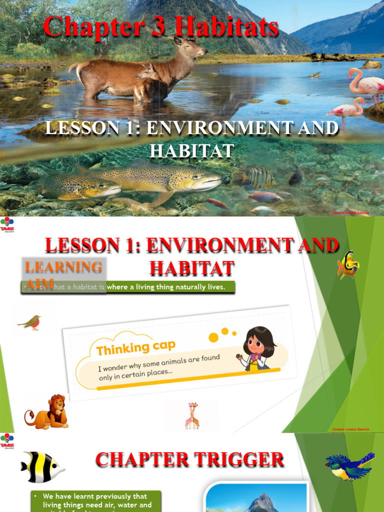 Understanding Habitats and Environments | PDF | Habitat | Gardens