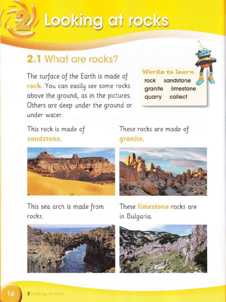 Cambridge Primary Science 2 Learners Book PDF 17 | PDF