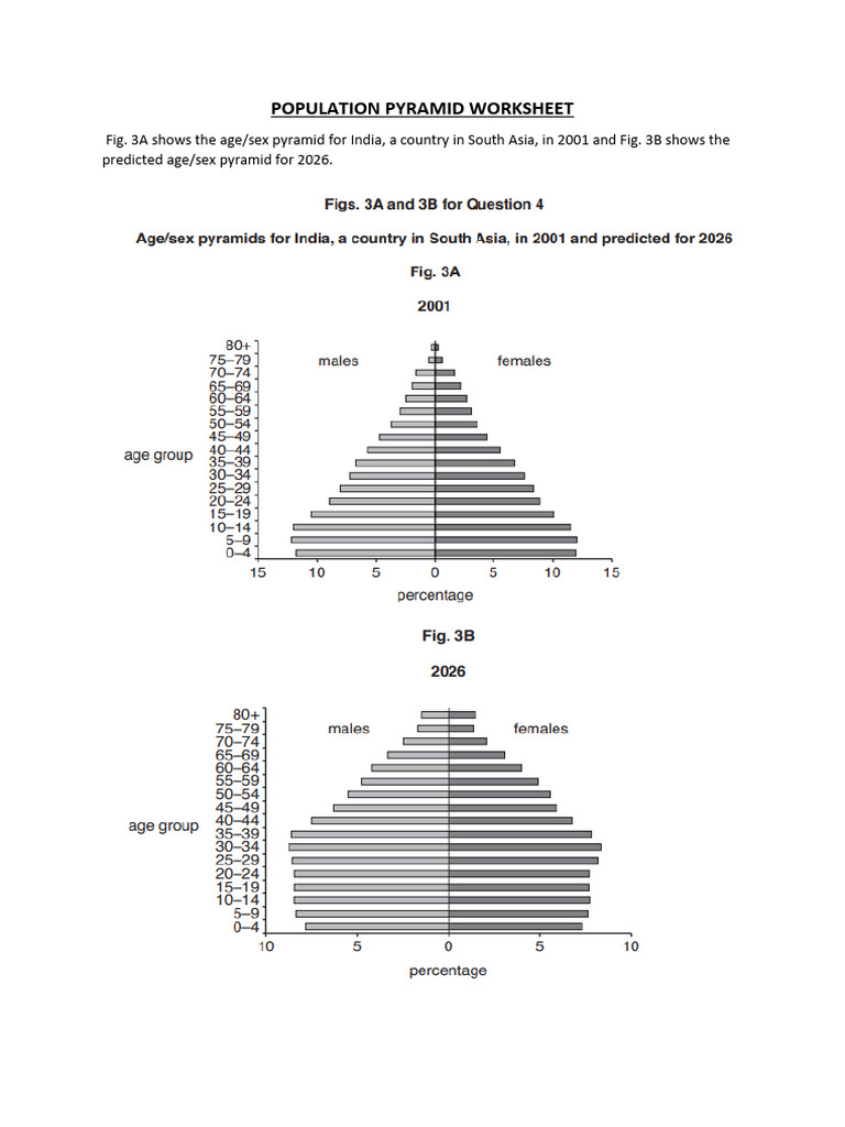 Population Pyramid Worksheet | PDF | Sports & Recreation | Social Science