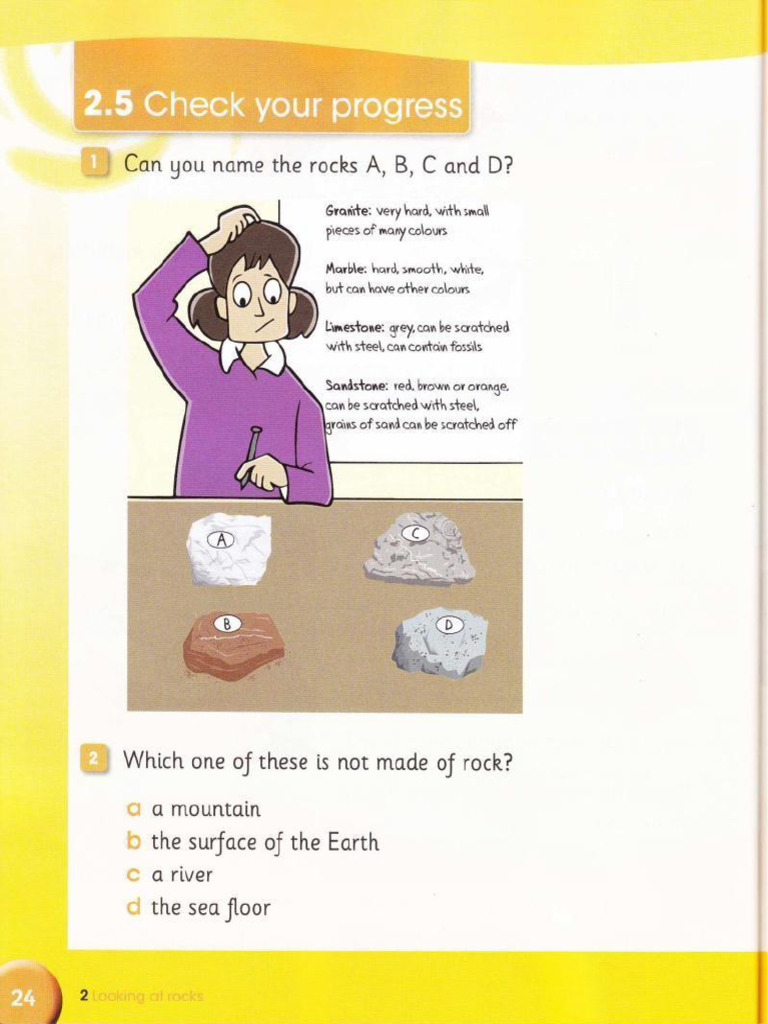 Cambridge Primary Science 2 Learners Book PDF 25 | PDF