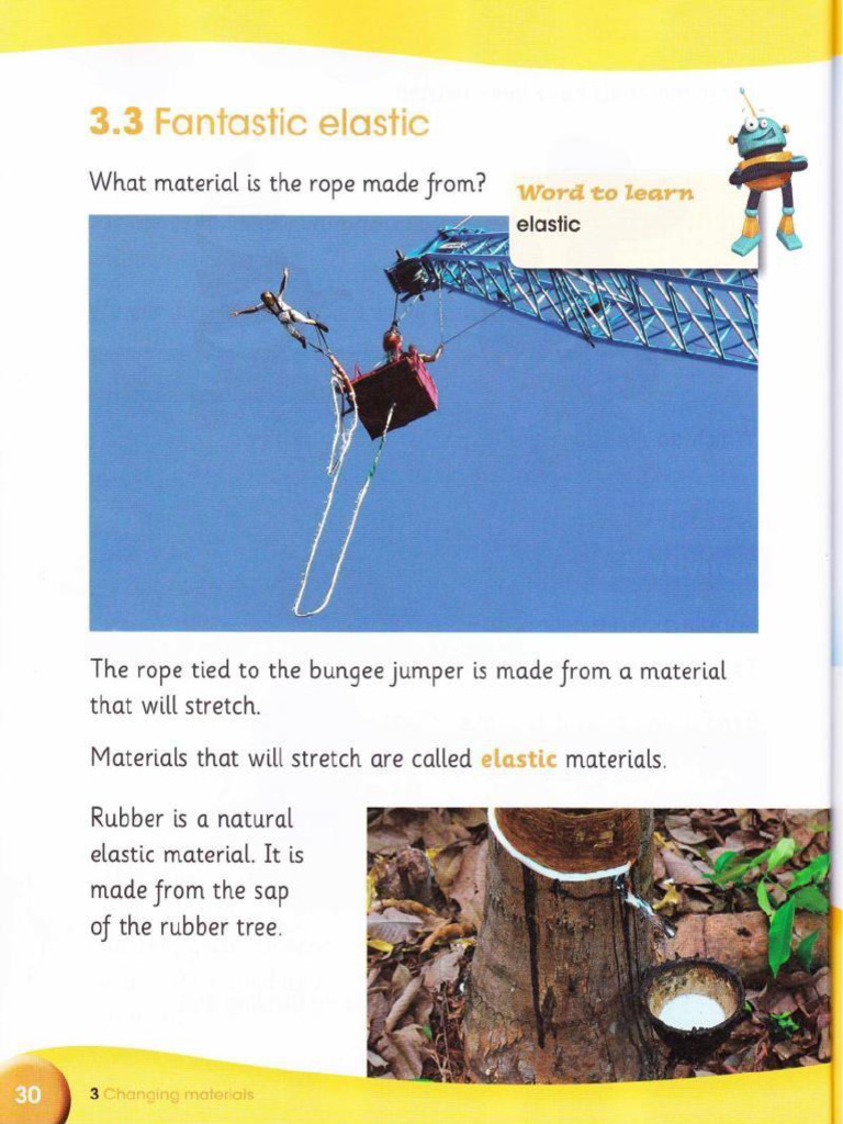 Cambridge Primary Science 2 Learners Book PDF 31 | PDF