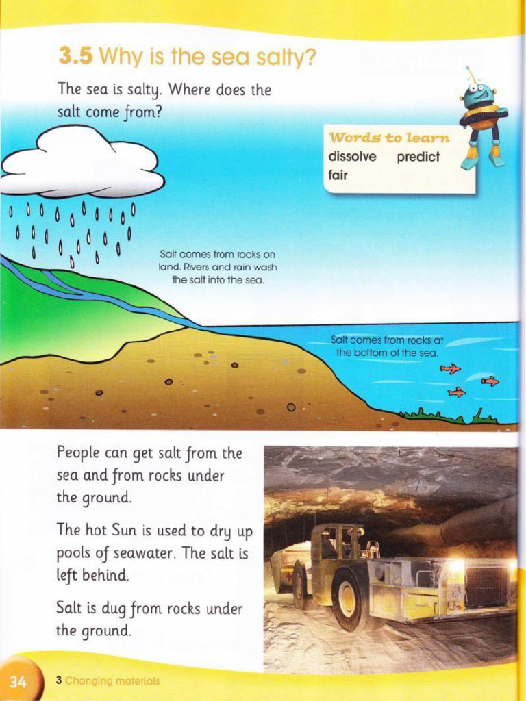 Cambridge Primary Science 2 Learners Book PDF 35 | PDF