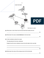 Year 6 ScienceCheckpoint 2025 | PDF | Rock (Geology) | Force