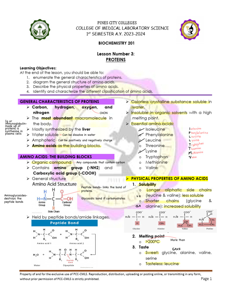 Lesson 3 - Proteins Part 1 - For Students | PDF | Amino Acid | Proteins