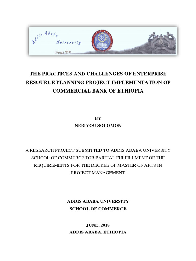 Nebiyou Solomon | PDF | Enterprise Resource Planning | Business Economics