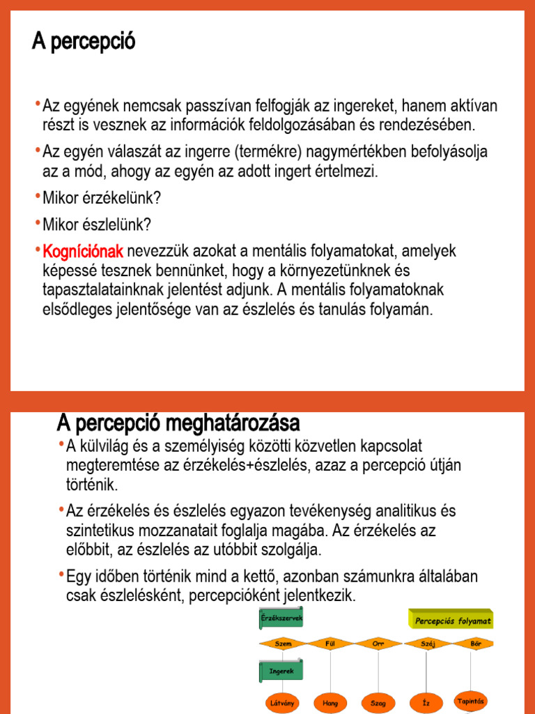 Hallgatói Jegyzet Akusztikus Percepció | PDF